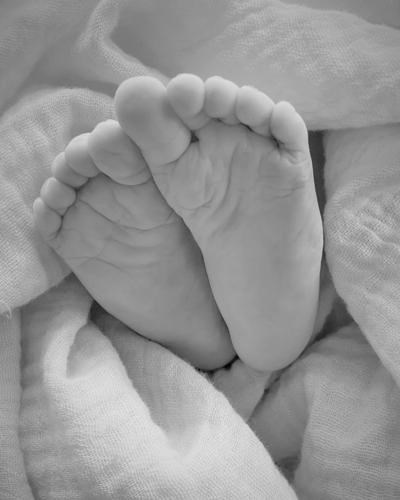 Chloe Elaine Otis Obituary (2024) - Jackson, TN - Arrington Funeral ...