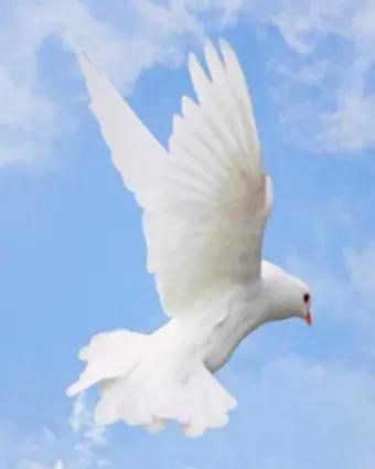 Richard Thomas Teal Obituary (2023) - Chesterfield, SC - Miller-Rivers ...