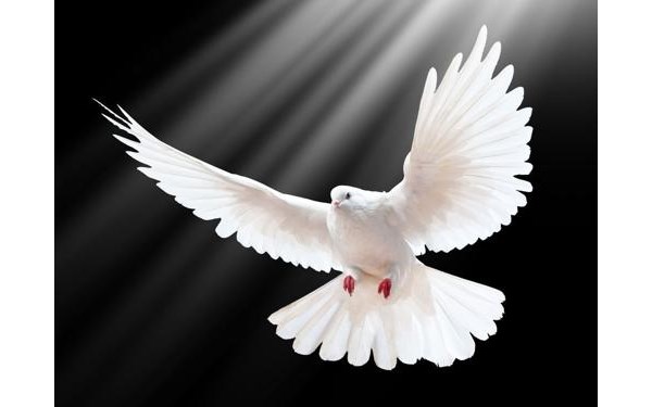 Barbara Constance Bruhn Obituary (2025) - Cottonwood, AZ - Westcott ...