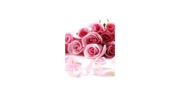 Baby Girl AURORA BRANCH-OWENS Obituary and Online Memorial (2026)