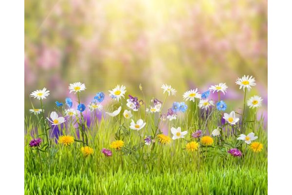 Victoria Muller Obituary and Online Memorial (2026)