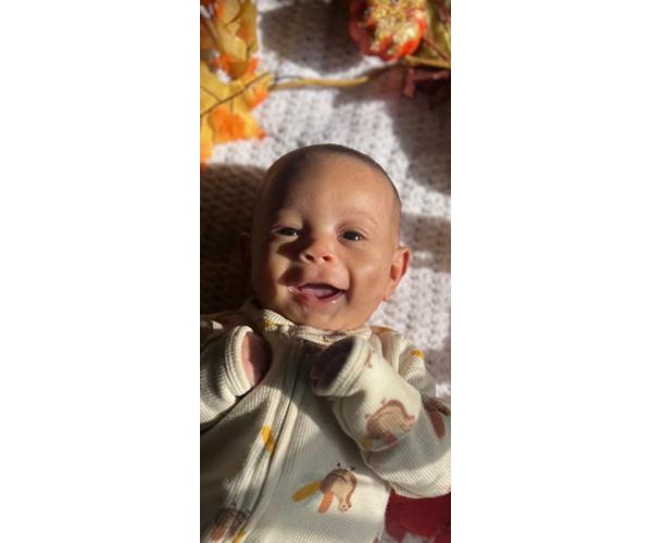 Benjamin Bryan Solo Meyer Obituary (2025) - Winnsboro, TX - Beaty ...
