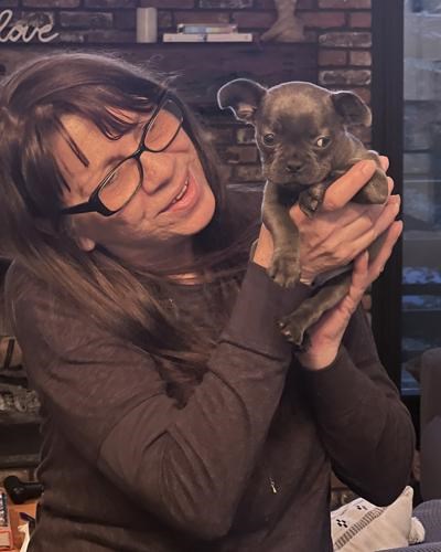 Tammy Vigliarolo Obituary and Online Memorial (2026)
