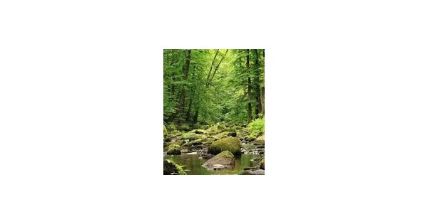 Delmar Cottrell Obituary and Online Memorial (2026)