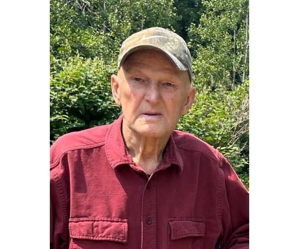 Allan "Al" B. Tanck Obituary (2024) - Green Bay, WI - Newcomer Funeral ...