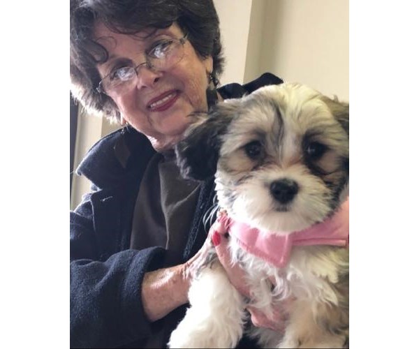 Donna Jean Lyons Obituary (2026) - Akron, OH - Newcomer Funeral Home ...