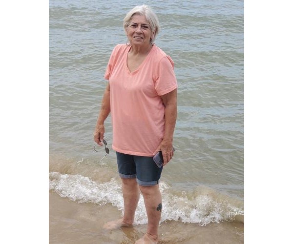 Gayle L. Skinner Obituary (2024) - Millington, MI - Hanlin Funeral Home ...