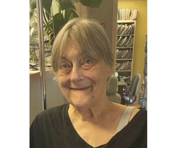 Nancy L. Barry Obituary (2025) - Holley, NY - Christopher Mitchell ...