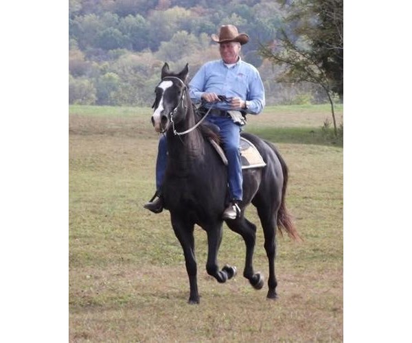Arthur Michael Ankrum Obituary (2025) - Columbia, TN - Heritage Funeral ...