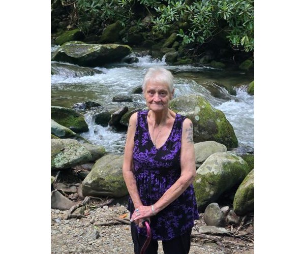 Rose Ella Todd Obituary (2025) - Lincoln Park, MI - Solosy Funeral Home ...
