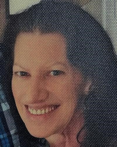 Lisa Ann Wahl Obituary (2024) - Akron, OH - Newcomer Funeral Home - Akron