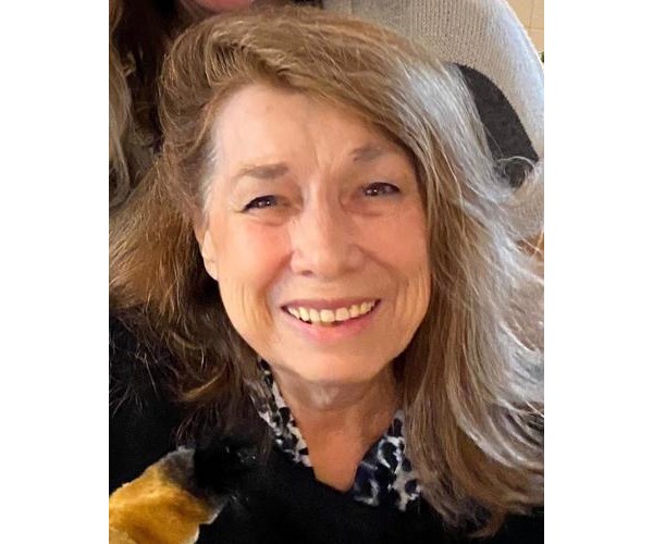 Penny Jean Stillman Obituary (2025) - Wentzville, MO - Newcomer ...
