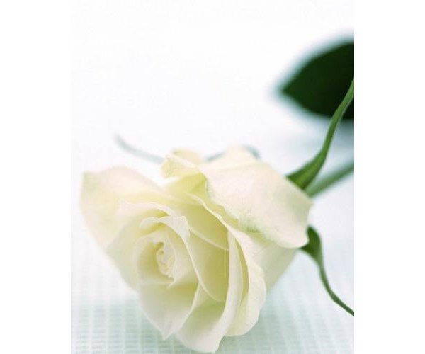 Janice Gayle Reynen Obituary (2025) - Fargo, ND - Hanson-Runsvold ...