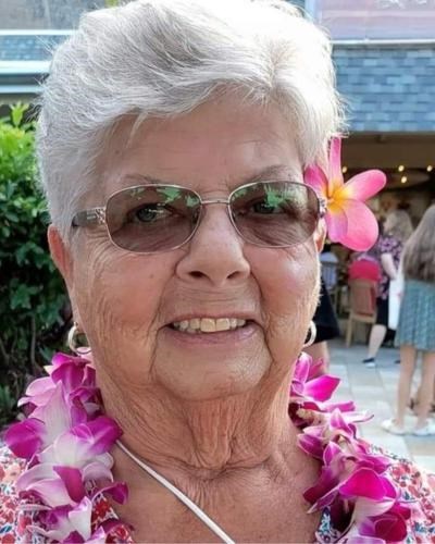 Phyllis Ann Shanks Obituary (2024) - Baltimore, OH - Johnson-Smith ...