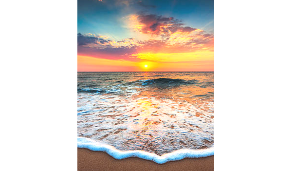 Sandra L. Sneesby Obituary (2023) - Morehead City, NC - Munden Funeral ...