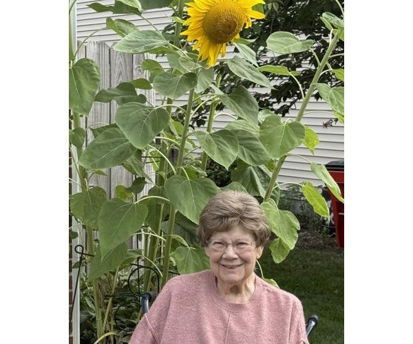 Betty Jean Ross Obituary (2025) - Grove City, OH - Newcomer Funeral ...