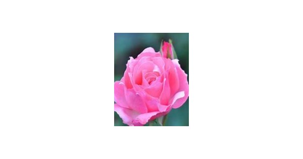 Mary Wilma Matheny Obituary (1933 - 2023) - Legacy Remembers