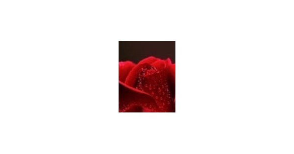 CHRISTIAN POOR HURD Obituary (2025) - Fort Worth, TX - Harper & Lucas ...