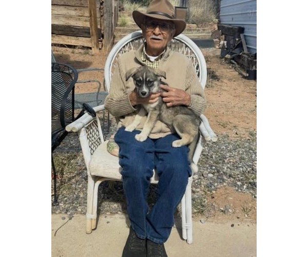 Alberto Sedillo Sr. Obituary (2025) - Santa Fe, NM - Rivera Family ...