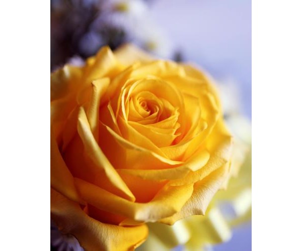 Mary Ann Rosner Obituary (2024) - Indianapolis, IN - Flanner Buchanan ...