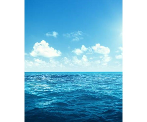 Daniel Francom Obituary (2026) - Wilmington, NC - Tranquility Cremation ...