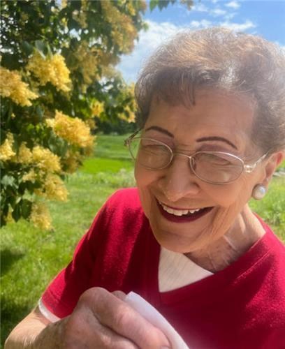 Beverly Novak Obituary (2024) - Aurora, IL