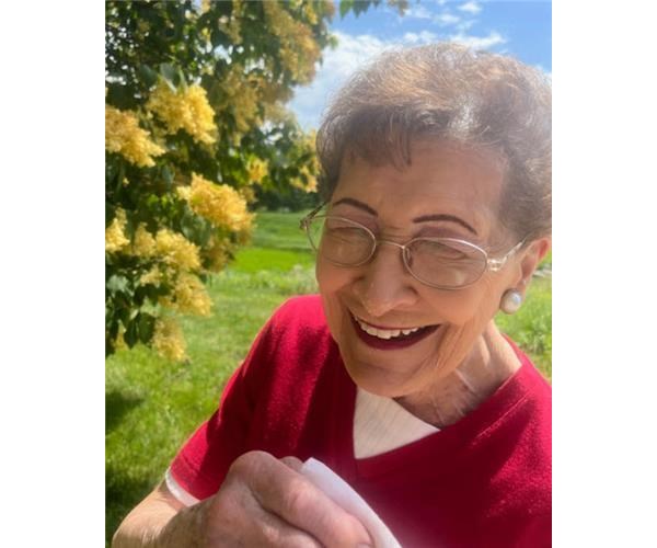 Beverly Novak Obituary (2024) - Aurora, IL