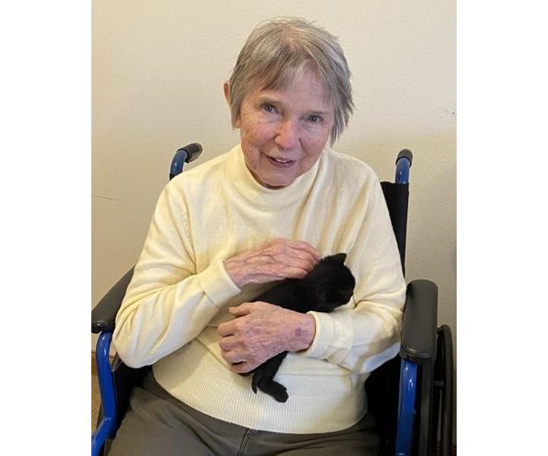 Betty Ann Blazek Obituary (2025) - Green Bay, WI - Newcomer Funeral ...