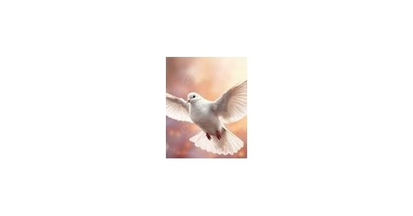 Carl Lombardo Obituary (2024) - Canonsburg, PA - Salandra Funeral and ...