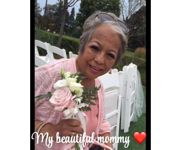Maria Olga Huerta Obituary (2024) - Chicago, IL - M Martinez Funeral Home