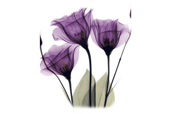 LANNIE RUTH McADAMS DOBBINS Obituary (2025) - Fort Worth, TX - Harper ...