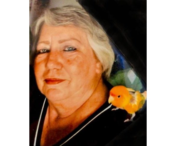 Janet Marie Hoover Obituary (2024) - Akron, OH - Newcomer Funeral Home ...