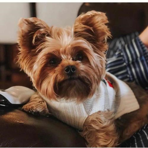 Remembering Beckham Meggers Obituary (2012 - 2024) - Legacy Remembers