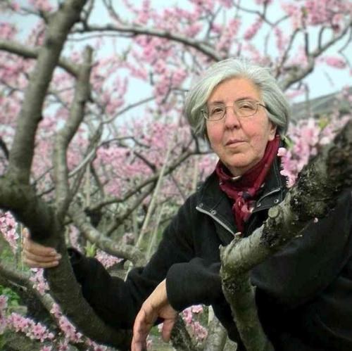 Cecile Turrietta Obituary (1945 - 2023) - Legacy Remembers
