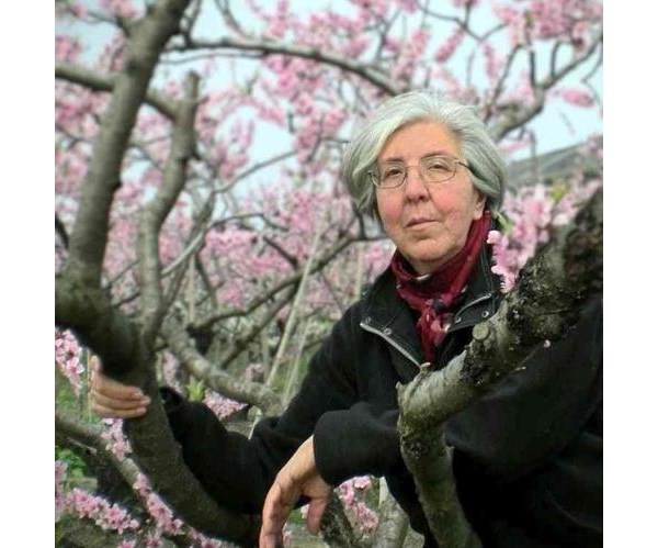 Cecile Turrietta Obituary (1945 - 2023) - Legacy Remembers