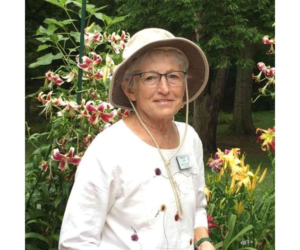 Mary Ercolani Obituary (1944 - 2022) - Legacy Remembers