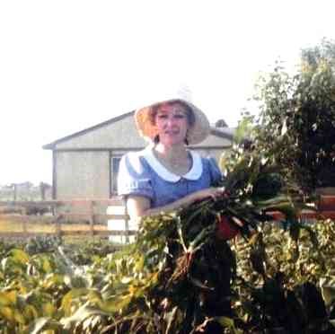 Carol Carr Obituary (1942 - 2023) - Legacy Remembers