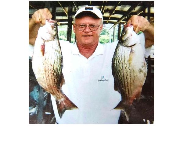 Stephen Johnson Obituary (1944 - 2023) - Legacy Remembers