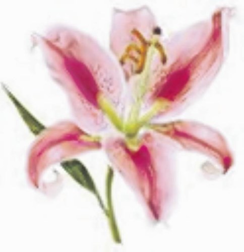 Maureen Short Obituary (2011) - Legacy Remembers