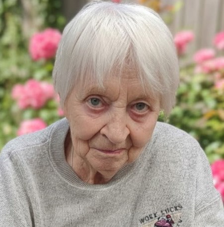 Shirley Schmidt Obituary (1937 - 2026) - Watkins, IL - Litchfield Rail