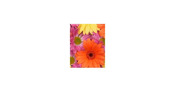 Suzanne Duke Obituary (2013) - Westchester, NY - The Journal News