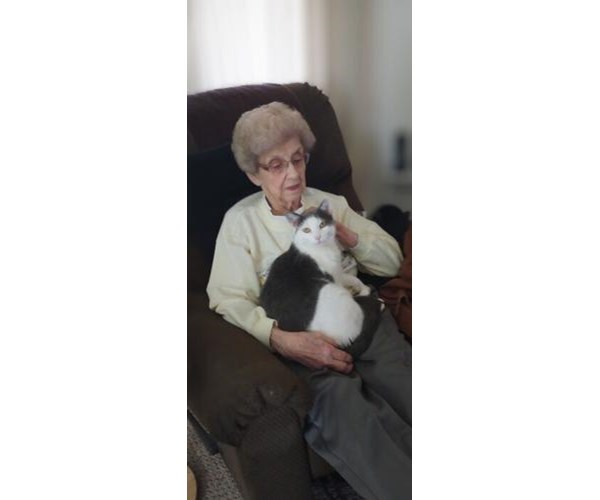 Roslyn Johnson Obituary (1933 - 2024) - Youngstown, OH - Mahoning Matters