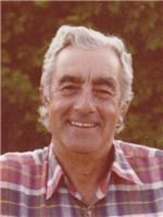 John Frisina Obituary (2015) - Amherst, OH - The Morning Journal