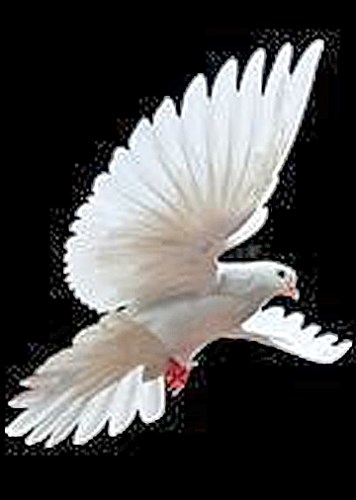Kay Ball Obituary (2024) - Butte, MT - The Montana Standard