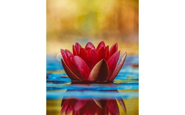 Judith Decker Obituary (1946 - 2025) - Murrells Inlet, SC - Post and ...
