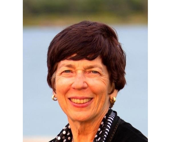 Carol Solomon Obituary (2024) - Arlington Heights, IL - Northwest Herald