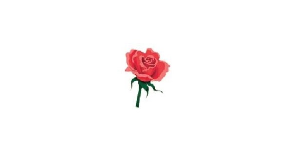 Leonie FOSTER Obituary (2015) - The New Zealand Herald