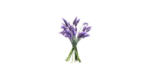 Judith GRAINGER Obituary (1956 - 2020) - Auckland, Auckland - The New ...