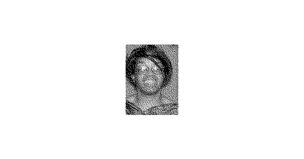 CHRISTINE FEARS Obituary (2010) - Opelika, AL - The Opelika-Auburn News