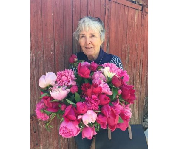 Barbara Kelly Obituary (2024) - Corona, CA - Orange County Register